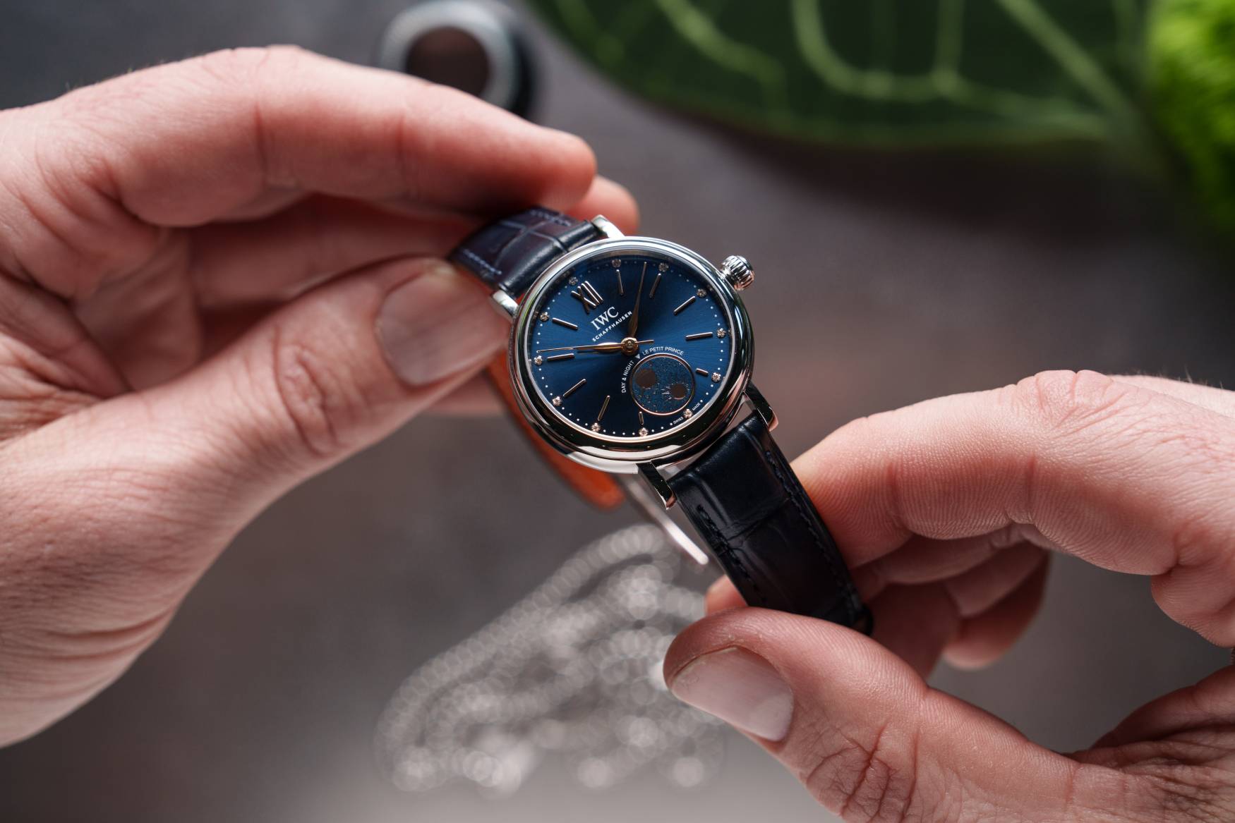 IWC Portofino Day & Night 34 Le Petit Prince | INTRODUCING